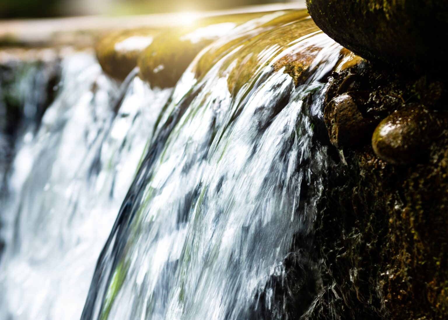 Japan Water Stewardship Leadership Group | Alliance for Water Stewardship